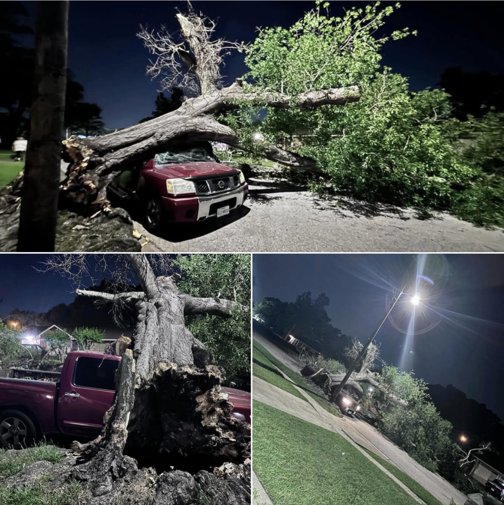 Conroe Family Seeks Help After Tree Destroys Vehicle: “We Just Want ...